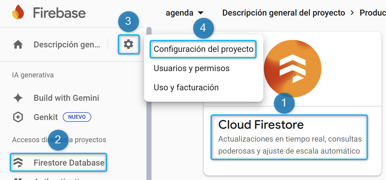 PMDM 2º DAM Firebase